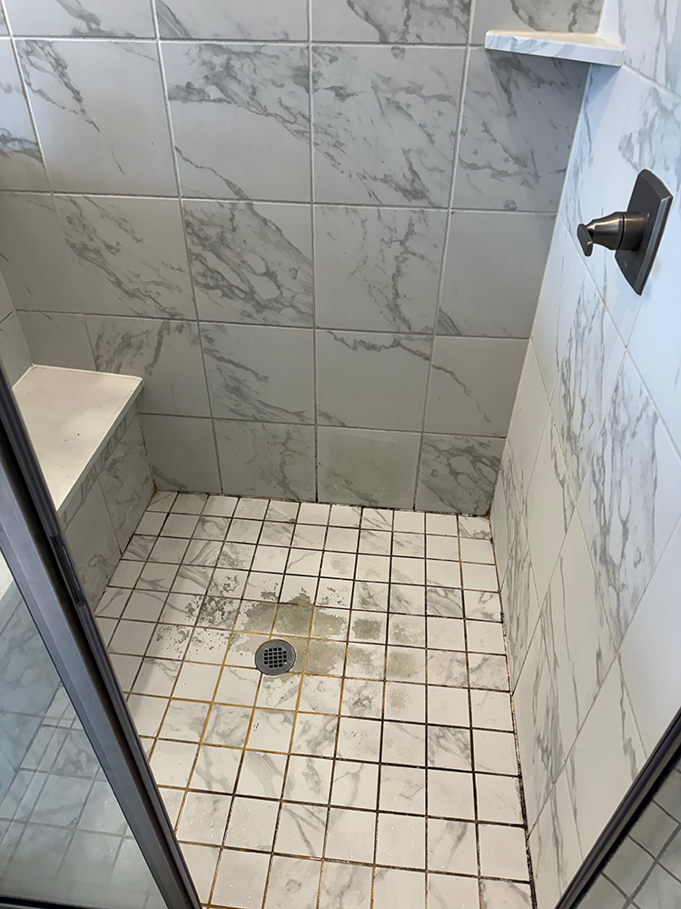 Transform Your Bathroom: A Complete Guide To Tub-to-Walk-In Shower ...